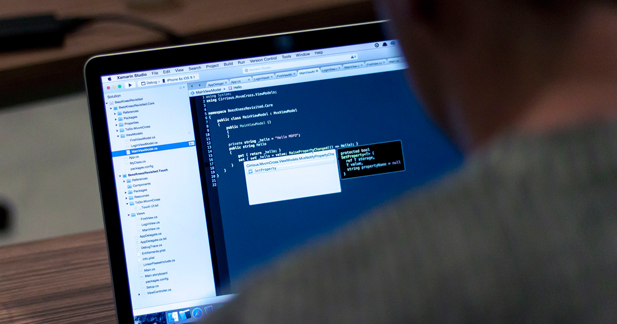 Vantagens em optar por um servidor SECNET para seu e-commerce » SECNET